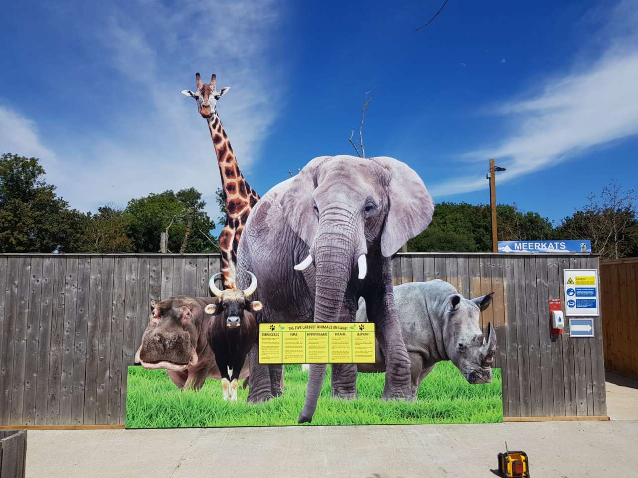 Local Kent Zoo gets a signs makeover !!! - Signs and Imaging