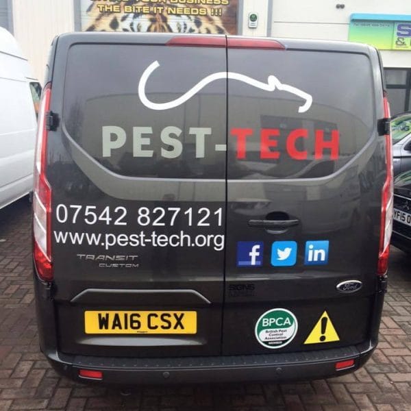 Van Graphics, Livery, Decals | Signs and Imaging